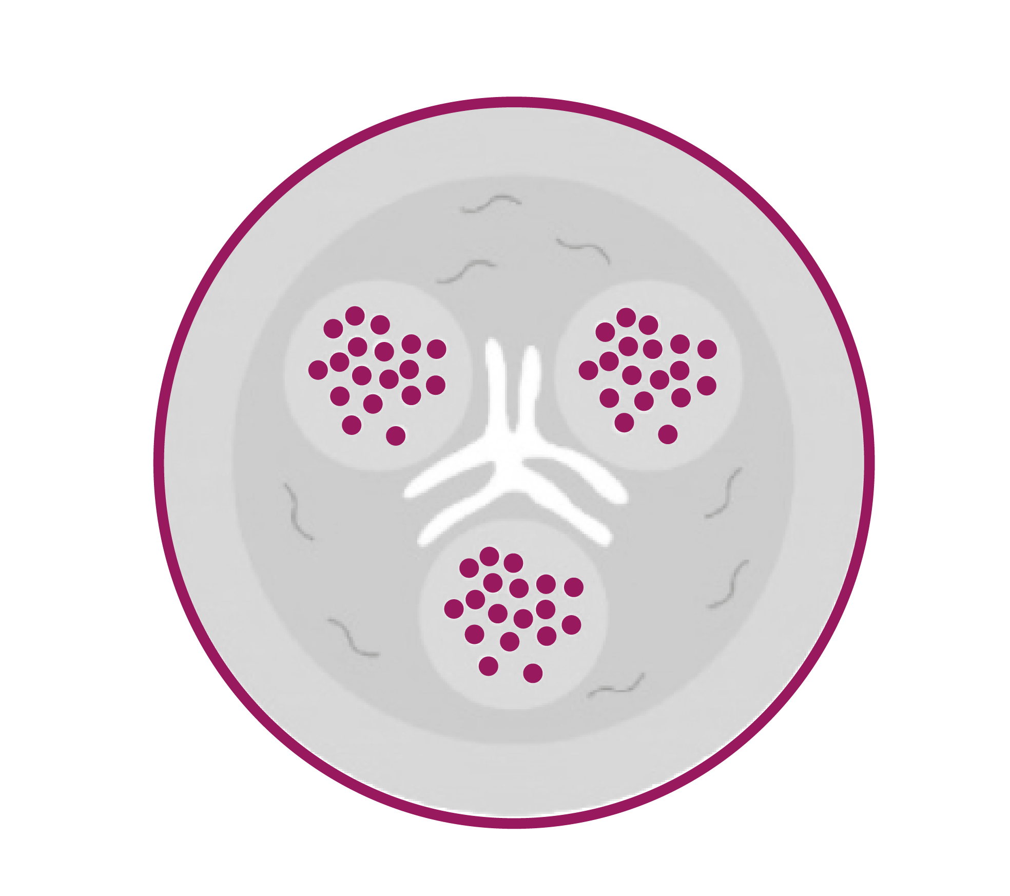 Urolon - Mayumana Healthcare