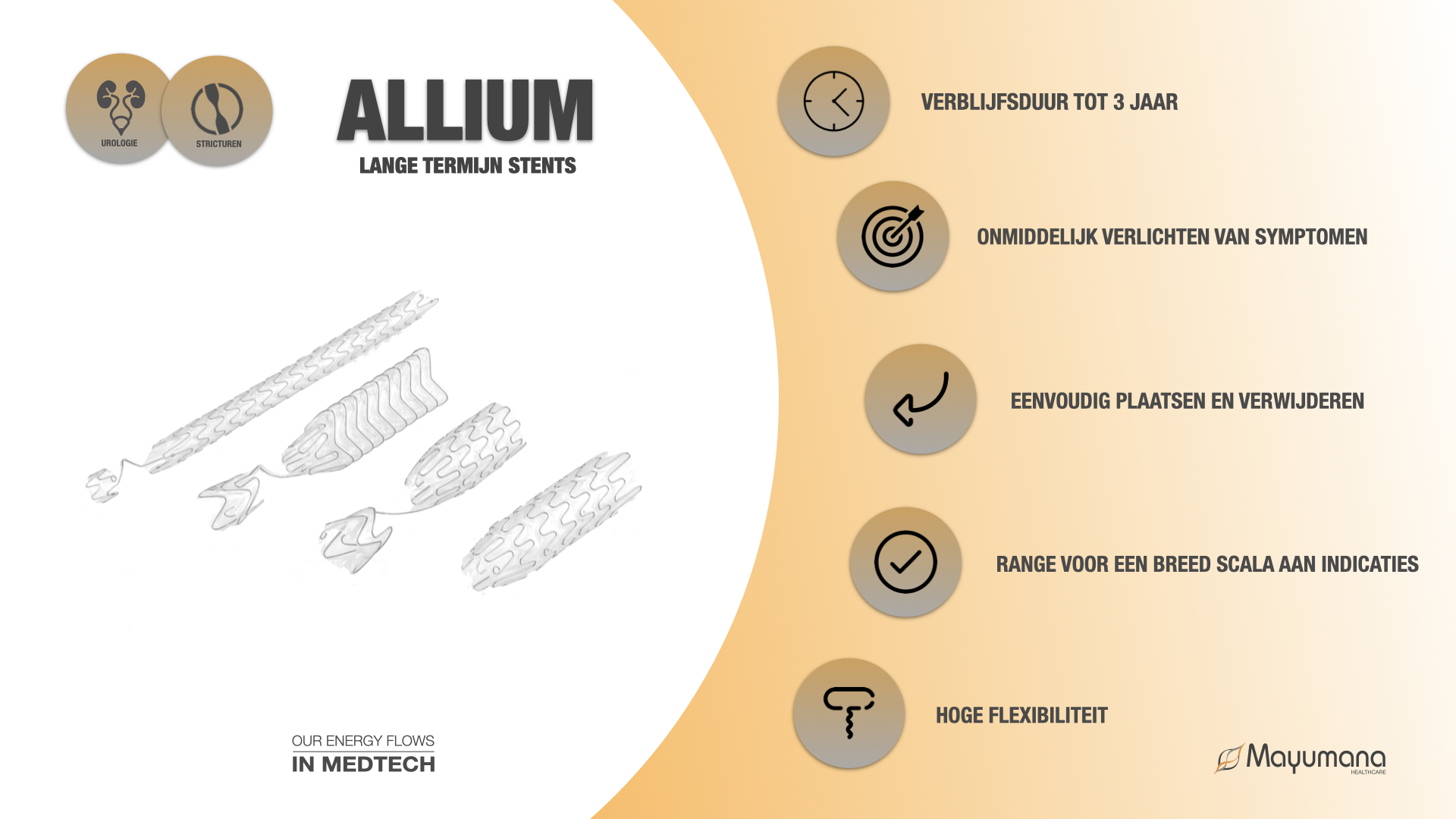 Allium, uitgebreid portfolio lange termijn stents - Mayumana Healthcare